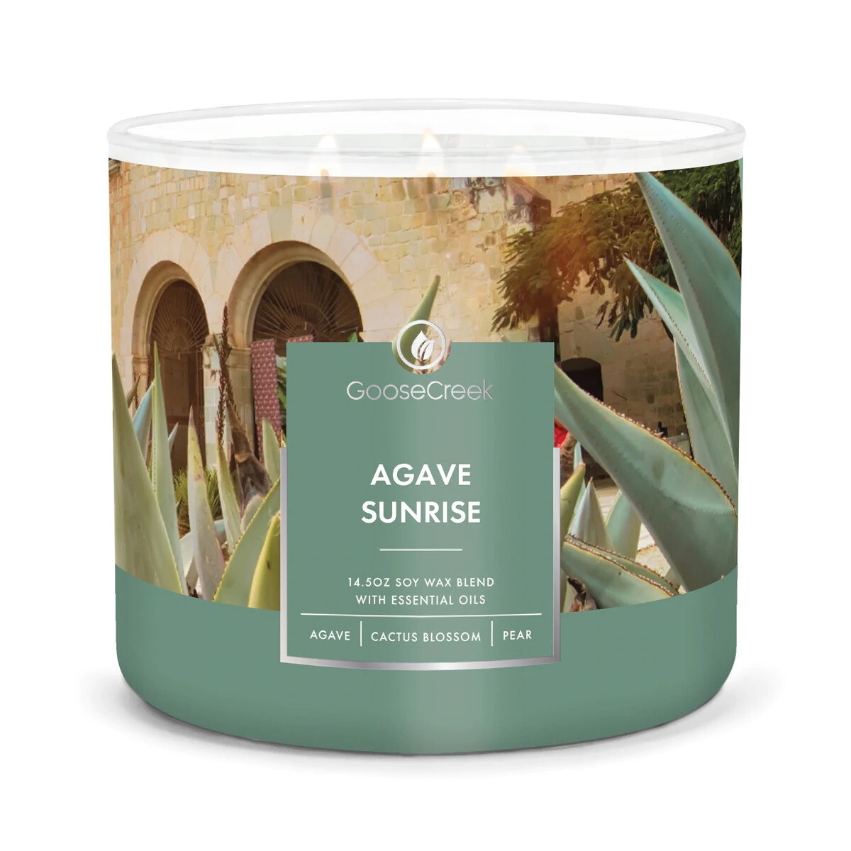 Agave Sunrise 3-Docht-Kerze 411g, 25,95