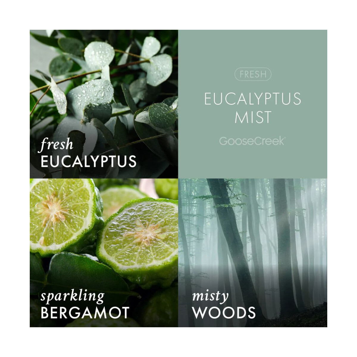 Eucalyptus Mist 3-Docht-Kerze 411g, 19,45